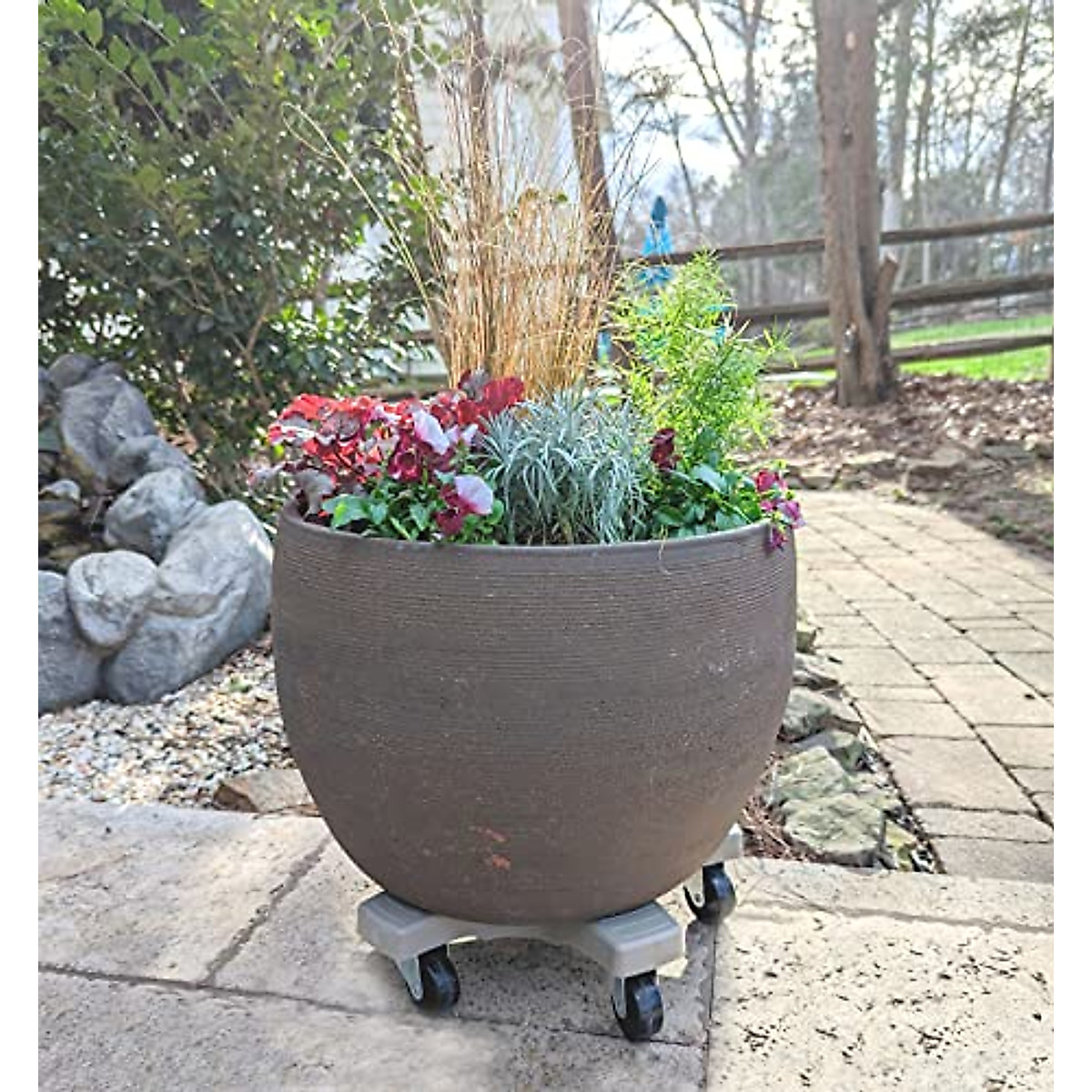 Bosmere S14450 Down Under Plant Caddie, Heavy Duty Plant Stand with Wheels, 500lb Capacity, 14-Inch, Light Gray