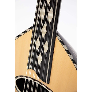 Egyptian Oud Classic Black Stringed Instrument Aoud Ud with Soft Case and Picks