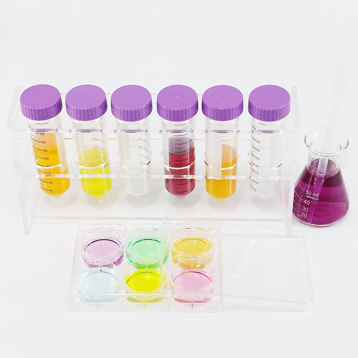 BIPEE Polystyrene Petri Dish 6 Well Cell Culture Plate, Sterile, Pack of 10