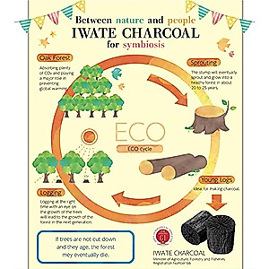 Japanese BBQ Charcoal from Iwate, 3kg / 6.6 lb of Lump Charcoal, Product of Japan