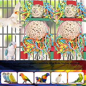 BBjinronjy Bird Toys,2PCS Conure Toys Hanging Natural Soft Sola Ball Beak Chew Shred Forage Toys for Parrots,Cockatiel,Conure,Love Birds,Parakeets,Budgie and Other Small Birds