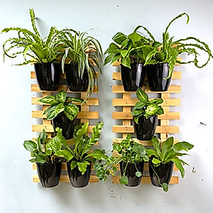 LaLaGreen Wall Planters for Indoor Plants - 10 Pack, 5 Inch Black Self Watering Wall Planter, Eco Wall Mounted Planters System Living Hanging Wall Pots Holder Trendy Live Wall Garden Indoor for Herb