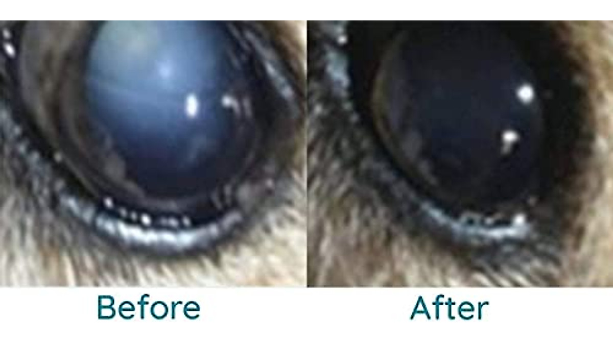 LumenPro Pet Eye Drops for Cataracts - Support Vision in Dogs & Pets