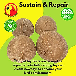 Bonka Bird Toys 1031 Pk4 Half Shell Coconuts Natural Forage Chewing Party Arts Craft Parrot Macaw African Grey