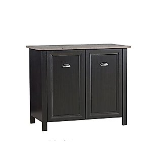 Saint Birch Ansel 2-Door Modern Wood Storage Cabinet in Black