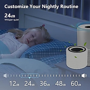 Funmit Core P350 Pet Care Replacement Filter for LEVOIT Core P350 Air Purifier, 3-in-1 New Fine Non-Woven Fabric Pre, H13 True HEPA, Activated Carbon Filter with ARC Formula, Core P350-RF, 2 Pack