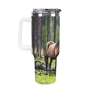 Horse in The Rain Forests Insulated Tumblers with Handle Stainless Steel Coffee Mug Funny Travel Cup with Lid Straw 40oz