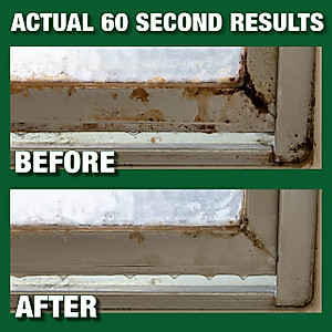Mold Armor Rapid Clean Remediation, 1 Gallon; Kills, Cleans & Prevents Mold & Mildew