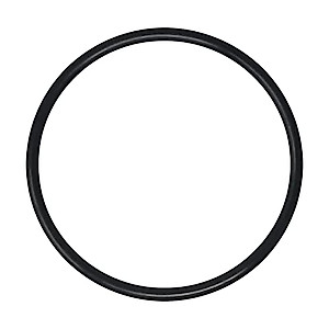 AppliaFit Lid O-Ring Compatible with Jandy Zodiac R0480200 for VS FloPro and FloPro FHPF and FHPM Series Pool Pumps (1-Pack)