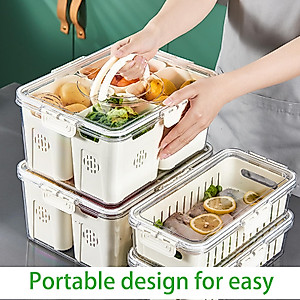 Rzmyencg Fruit Storage Containers for Fridge with Lids and Handle,Refrigerator Organizer Bins,with 4 Removable Colanders,Food Divided Serving Tray with Lid,BPA-Free Vegetable Fresh Produce Saver