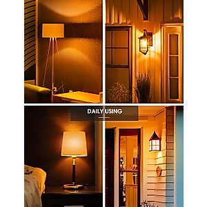 L LOHAS LED Halloween Orange LED Light Bulbs Outdoor, A19 9W(60W Equivalent) Orange Colored Light Bulb, E26 Base, Non-Dim, 4-Pack