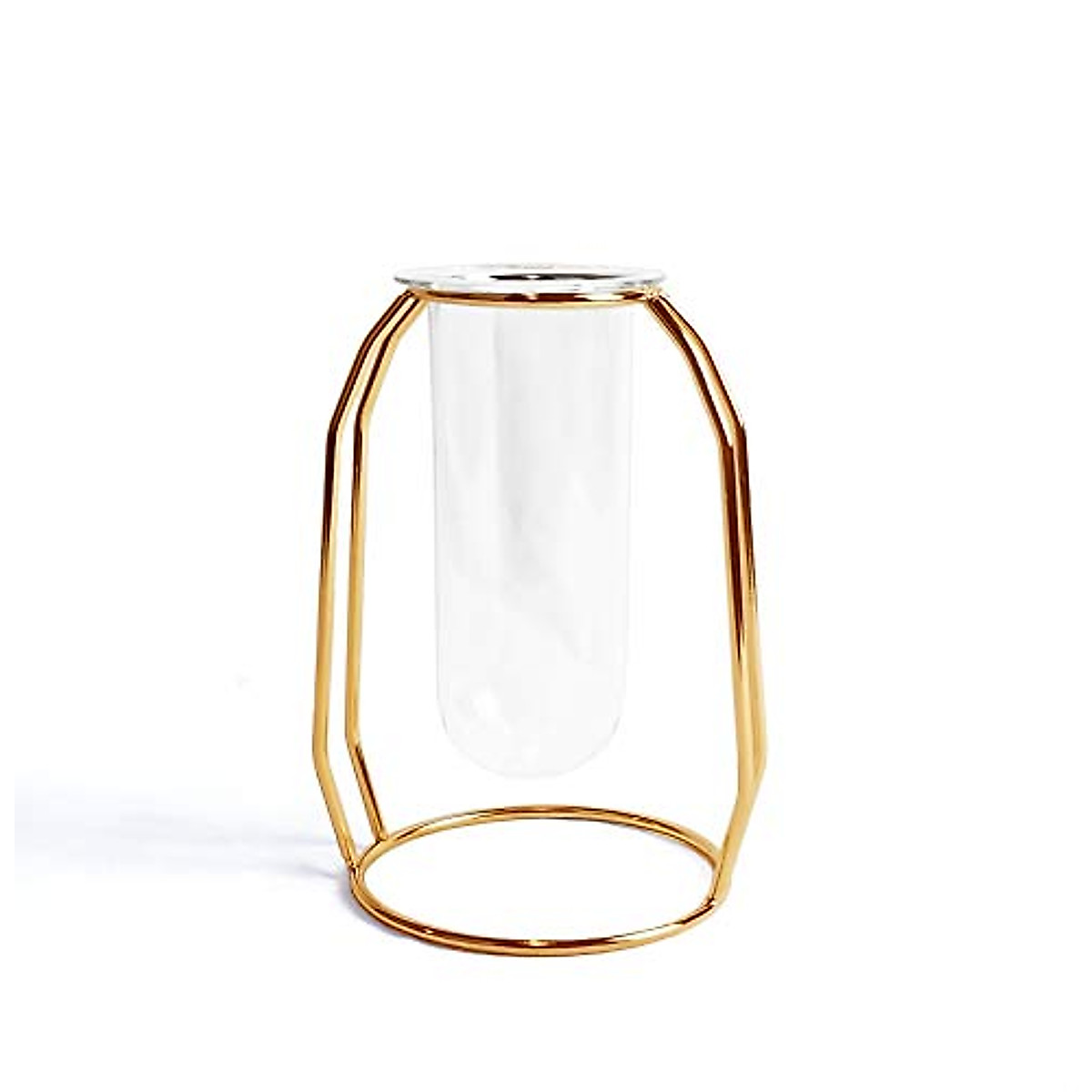 FSyueyun Desktop Glass Vase with Metal Frame，Modern Creative Hydroponics Vase Metal Flower Planter Terrariums Plant Glass-Gold (6.3Inch)