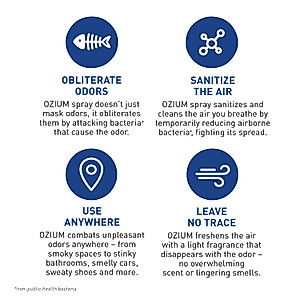 Ozium 3.5 Oz. 1 Pack Air Sanitizer & Odor Eliminator for Homes, Cars, Offices and More, Outdoor Essence