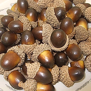 Onwon 100pcs Simulation Artificial Lifelike Small Acorn with Natural Acorn Cap for DIY Decoration Crafting Home House Kitchen Decor - Fake Fruit Props Acorns