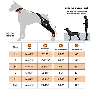 DGYAO Dog Knee Brace for ACL, Knee Cap Dislocation, Arthritis - Full Wrap - Easy Adjustable - Extra Support - Reduces Pain and Inflammation – Full Sizes