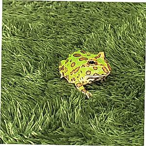 GANAZONO 2Pcs Climbing Pet Fake Lawn Terrarium Substrate Liner Reptile Bed Reptile Climbing Carpet Miniature Grass mat Amphipod Reptile Moss Carpets Horned Frog Cotton Absorbent pad