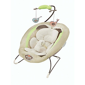 Fisher-Price Snugabunny Deluxe Bouncer