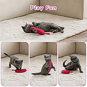 Legendog 5Pcs Catnip Toy, Cat Chew Toy Bite Resistant Catnip Toys for Cats,Catnip Filled Cartoon Mice Cat Teething Chew Toy (Multicolor)