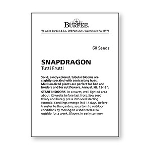 Burpee Tutti Frutti Snapdragon Seeds 60 seeds