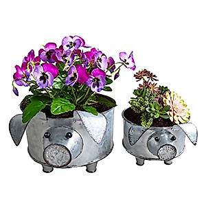 ShabbyDecor Galvanized Metal Pig Bowl Farmhouse Pig Succulent Planter Set of 2