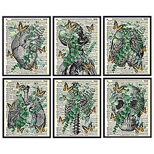 Anatomy with Eucalyptus and Butterflies, Vintage Dictionary Art Print, Modern Contemporary Wall Art For Home Decor, Boho Art Print Poster, Farmhouse Wall Decor 8x10 Inches, Unframed (6 Piece Set)