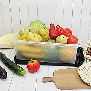 Obstnny 14 Quart Clear Storage Box, Plastic Bins for Storage with Lids, 2 Packs