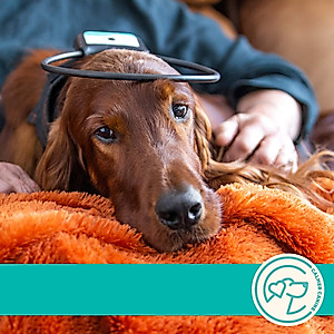 Calmer Canine Anxiety Treatment System (Device & Vest/Large)