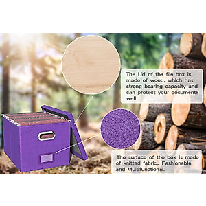 Oterri File Organizer Box,Filing Box with Lid,File Box for Letter/Legal File Folder Storage, Portable Hanging File Box for Office/Decor/Home,1 Pack,Purple-Box only