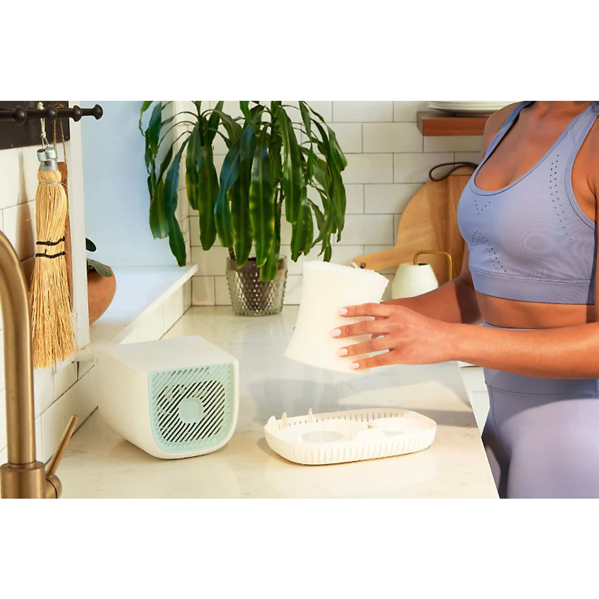 Canopy Humidifier PLUS Filters - HUMIDIFIER PLUS ONLY - DOES NOT FIT BEDSIDE OR NURSERY - Pack of 1 Filter - Made with Wood Pulp, Paper Filter, Replace Every Six Weeks