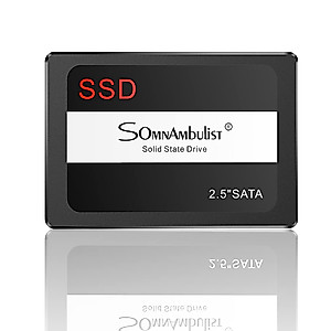 Somnambulist 60GB 120GB SSD 240GB Internal Solid State Drive - 2.5 Inch SATA for Computer, Desktop, PC & Laptop (Black Plastic -120GB)