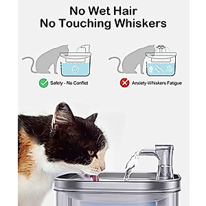 PETCADO Cat Water Fountain with Stainless Steel Lid, 67oz/2L Ultra-Quiet Cat Fountain with LED Light, Activated Carbon Filter, BPA-Free Automatic Pet Water Dispenser for Cats and Small Dogs