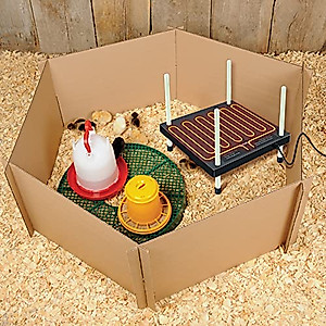 Chicks Heating Plate, Briidea 12'' *12'' Chick Brooders with Adjustable Height, Keeps Up to 20 Chicks Warm, 48W, Black