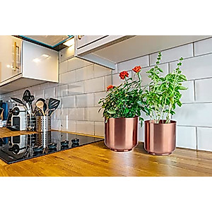 Vixdonos Copper-Tone Metal Succulent Planter Pots, 6/5.2 Inch Plant Pots Pack 2 Flower Pots Indoor with Drainage Hole