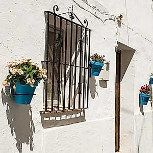 TQVAI 6 inch Flower Pot Holder, Wall Planter Ring Hanger, Wall Mounted Pot Hook Bracket, 6 Pack, Black