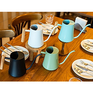 Watering Can Indoor Plants 35oz Sage Green Water Can Indoor Metal Small Water Can Pot with Long Spout for House Bonsai Plants Garden Flower Decorative