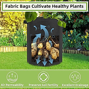 GreatBuddy 10 Gallon Potato Grow Bags 6-Pack, Thick Fabric Pots for Plants, Harvest Windows & Sturdy Handles, Labels Included, Black
