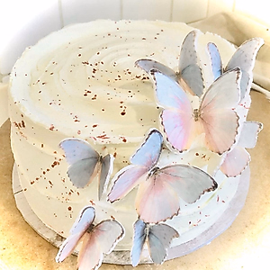 CHOCKACAKE Wafer Paper Butterflies Cupcake Toppers Wedding Cake Birthday Party Food Decoration Mixed Colour (White 28pcs)