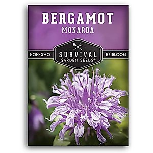Survival Garden Seeds - Bergamot Herb (Bee Balm) Seed for Planting - Packet with Instructions to Plant and Grow Lavender Monarda Wildflowers in Your Home Vegetable Garden - Non-GMO Heirloom Variety