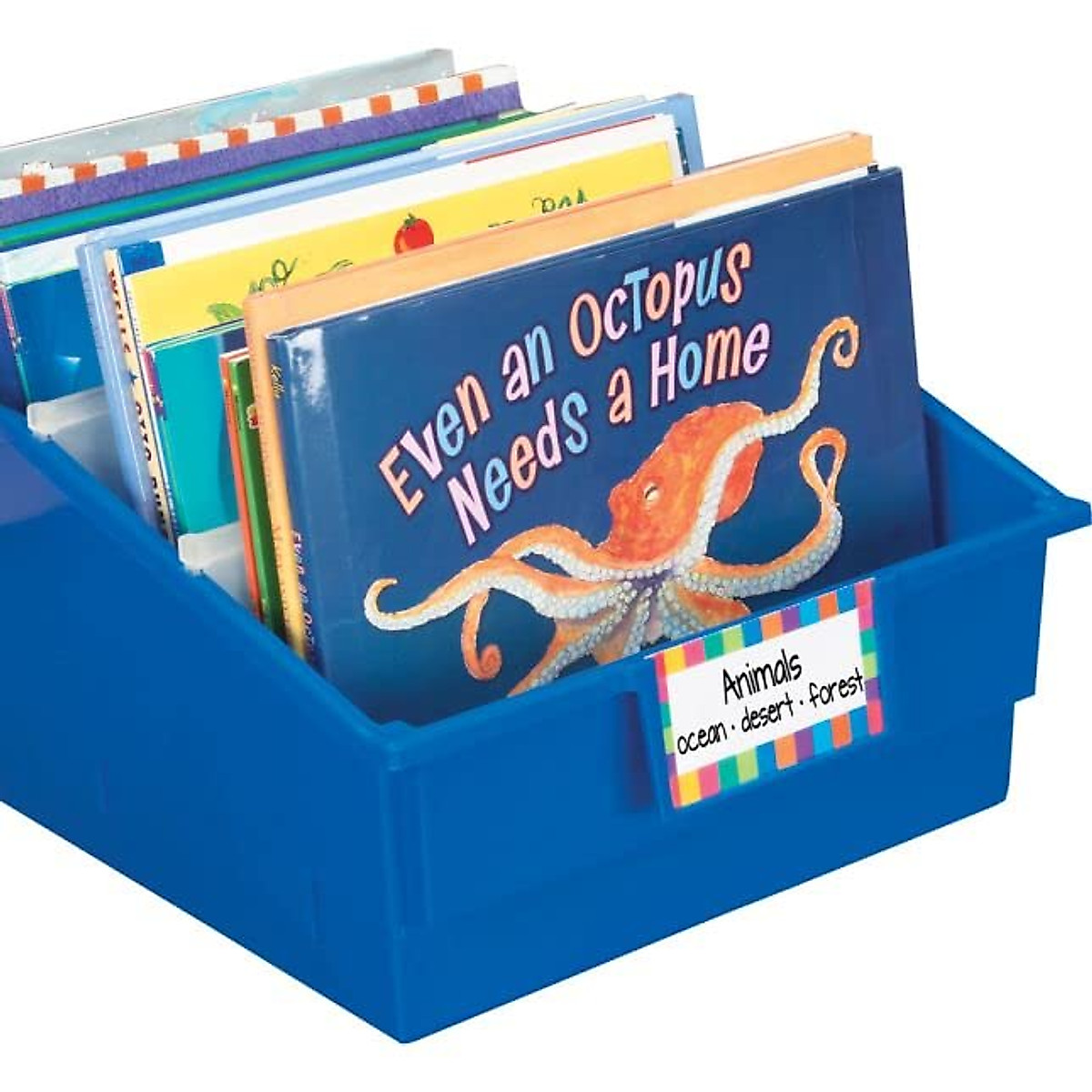 Really Good Stuff 4-Pack Single-Color Picture Book Classroom Library Bins with Dividers