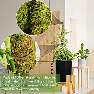 Moss Pole,Moss Pole for Plants Monstera,2 Pack Extending to 27inch Natural Forest Moss Poles for Climbing Plants,Plant Poles for Potted Plants Indoor,Moss Stick Used Separately or Joined Together.