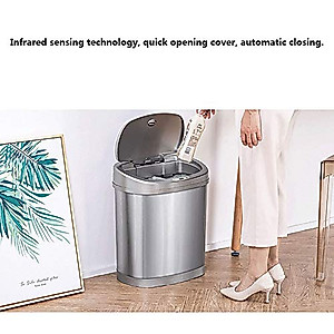 WENLII Double Classification Sensor Trash Can Smart Stainless Steel Can Auto Sealing Cover Garbage Classification Bins 30/42L (Size : 42L)