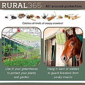 Ruralty Fly Tape Trap - 30ft Horizontal or Vertical Hanging Adhesive Indoor and Outdoor 3pk Insect Fly Trap Ribbon Roll