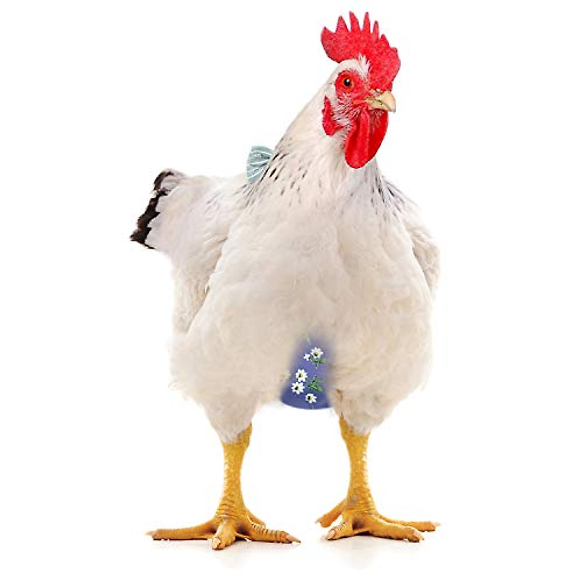 KAMA BRIDAL Chicken Diaper, Pet Diaper for Chook Duck Goose Adjustable Washable Reusable Diaper for Poultry 2 Pack