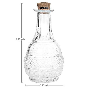 MyGift Antique Embossed Apothecary Glass Bottle - Mini Decorative Reed Diffuser Bottles with Cork Lid, Set of 2