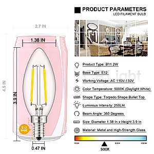 CRLight LED Candelabra Bulb 5000K Daylight White, 25W Equivalent 250 LM, 2W LED Chandelier Light Bulbs, E12 Vintage Edison B11 Clear Glass Candle Bulbs, Non-dimmable Version, 12 Pack