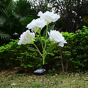 Solar Lights Outdoor Decorative 2 Pack Waterproof Hydrangea Silk Flowers Solar Powered Garden Stake Lights Solar Lights Outdoor Ground Lights for Patio Garden Yard Lawn Pathway (Blue and White)