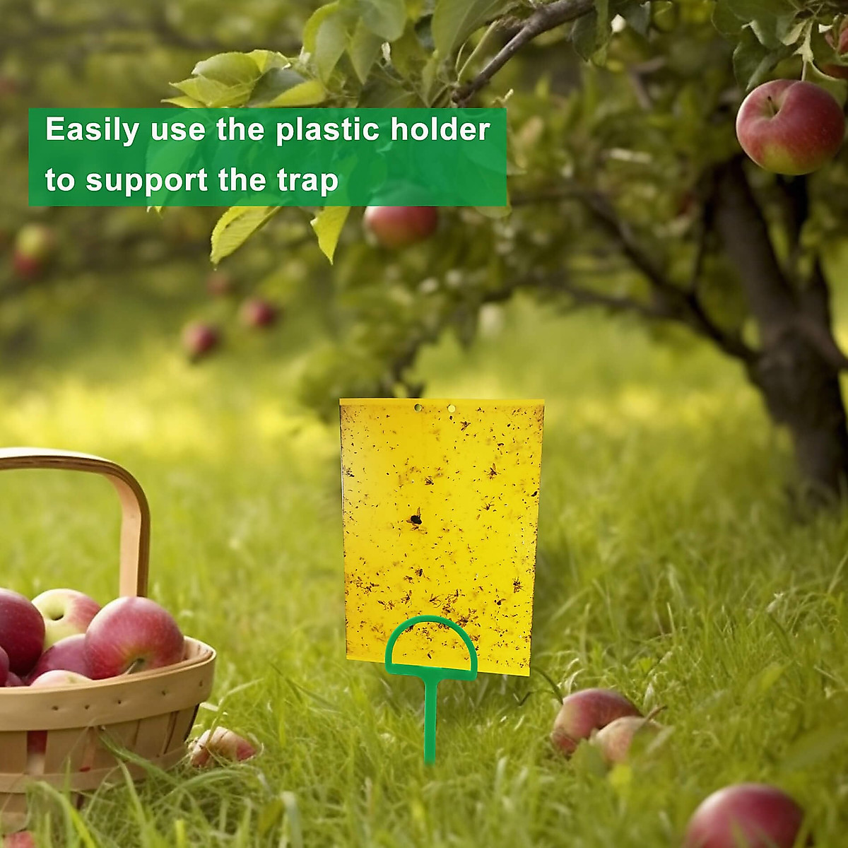 40 Sheets Sticky Fly Traps, Dual-Sided, for Flying Insect, Indoor and Outdoor, 8x6 Inch, Yellow