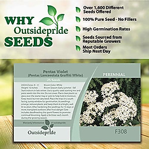 Outsidepride Pentas White Garden Flower Container Plant - 50 Seeds
