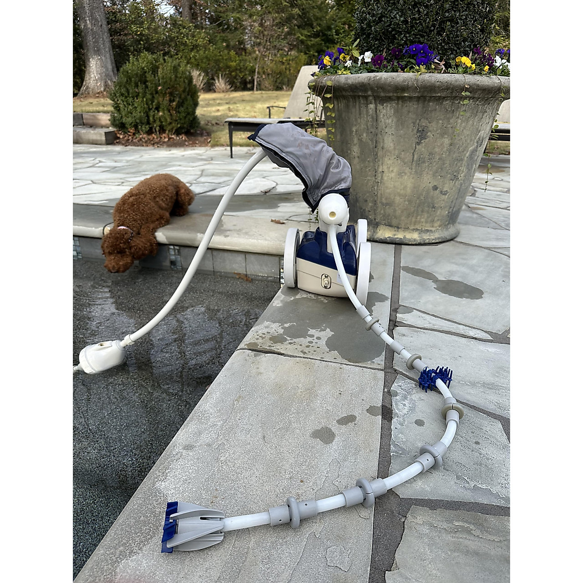 SWASHER No Spray - Pool Cleaner Tail Scrubber for Polaris/Pentair Pool Vac - Replaces Sweep Hose Foam End with Durable Rotating Flexible Sweeper to Improve Pool Cleaning and Reduce Maintenance Cost