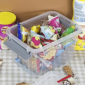 Pekky 3.5 Quart Clear Plastic Bins, Plastic Small Handle Storage Box, 6 Packs(Gray)